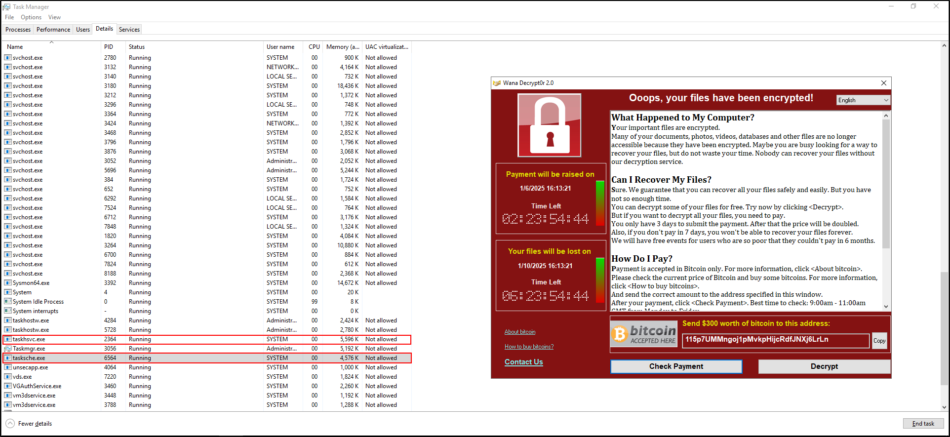 Aurora Lite - Cyber Defence Kit